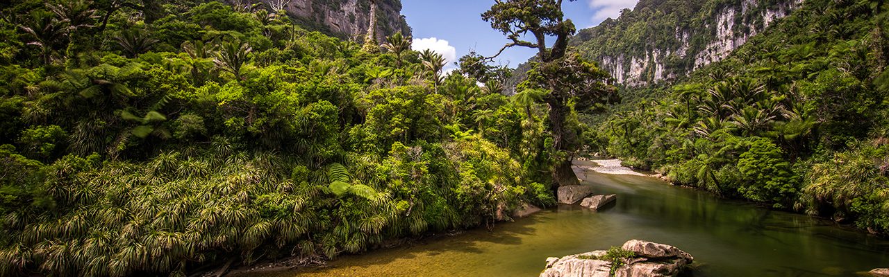 Punakaiki Beach Camp - Camping, Cabins & Houses - Paparoa Track Services